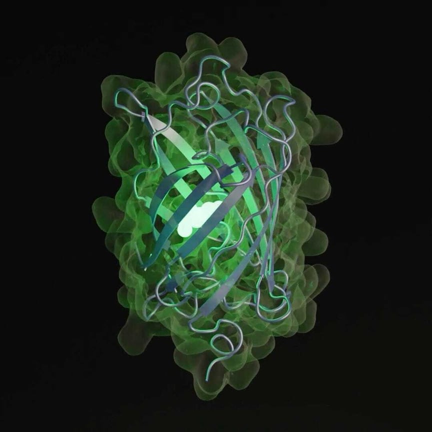 ESM3 — The Frontier of Protein Design?