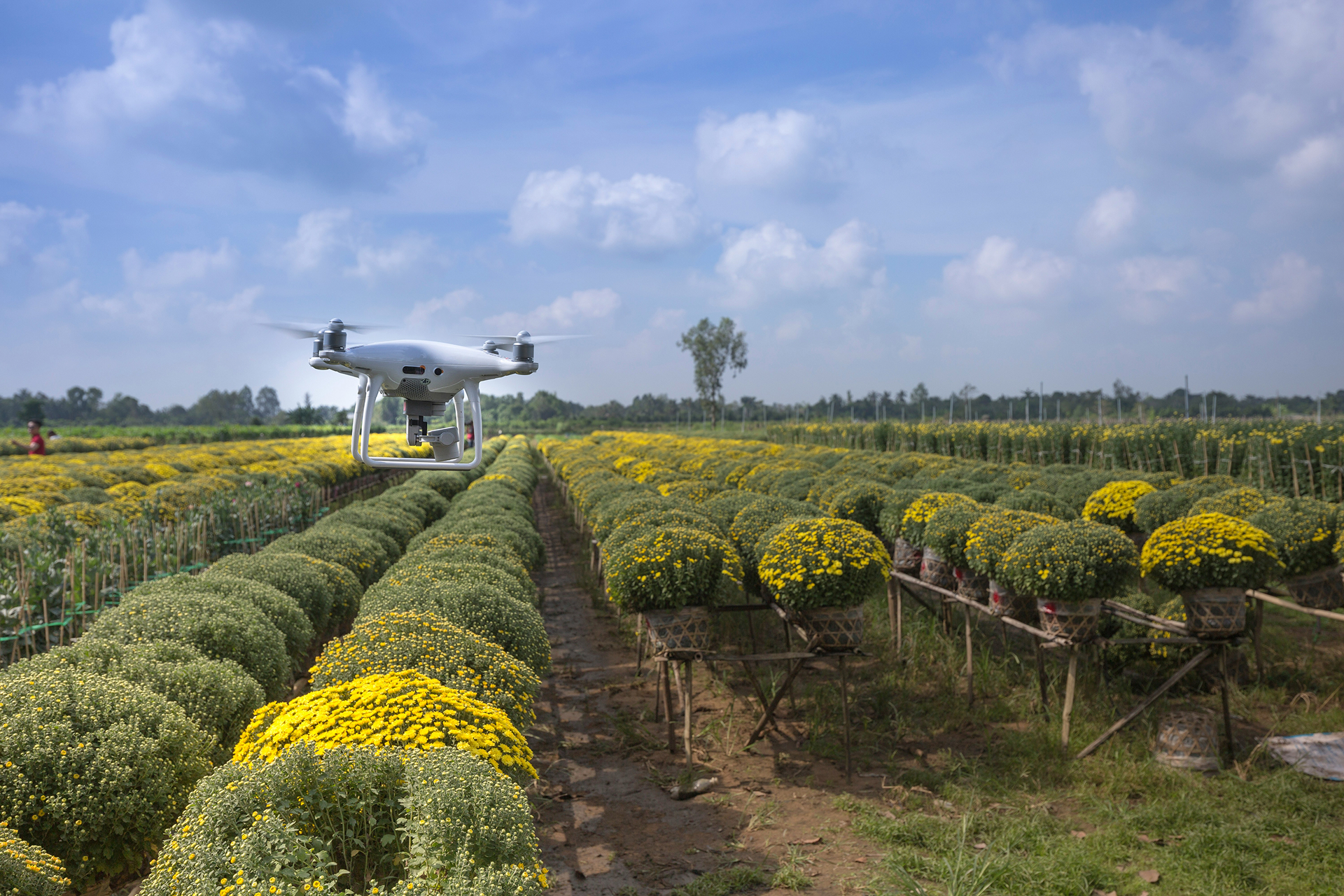 AI for the green transition - Applications and use cases [Part 1]